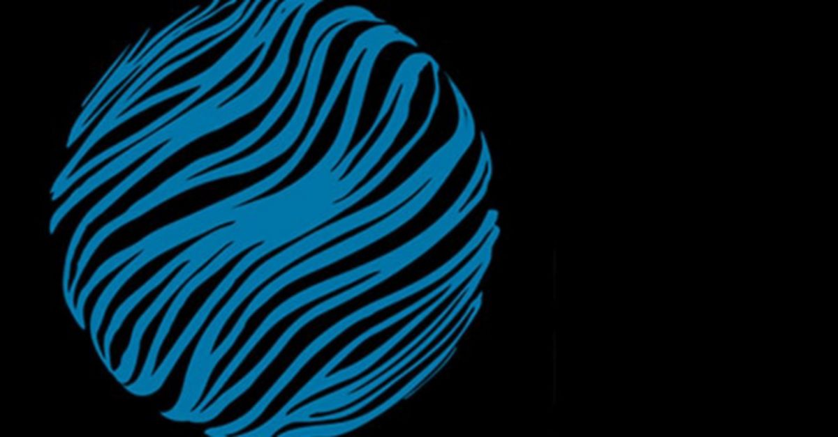 IT and Specialised Assurance Services | Deloitte Global