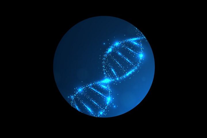 LSHC | Deloitte | Events