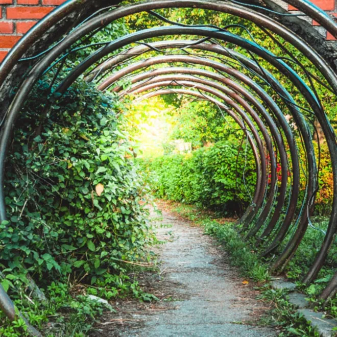 The art of finding purpose | Deloitte | Blog