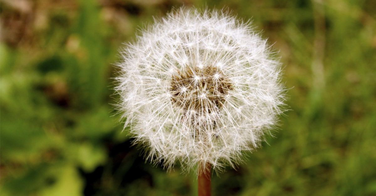 Life at Deloitte | Blog | Deloitte Australia