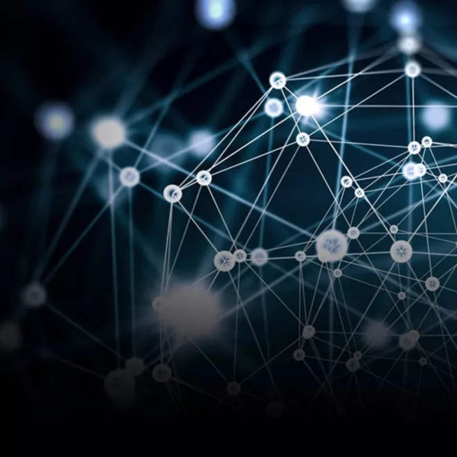 Oracle Alliances Deloitte New Zealand