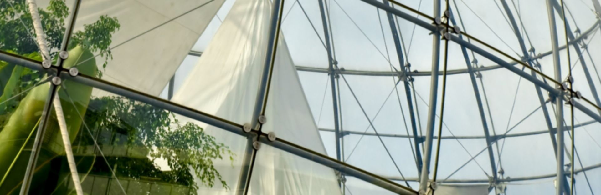 Our Purpose & Values | Deloitte