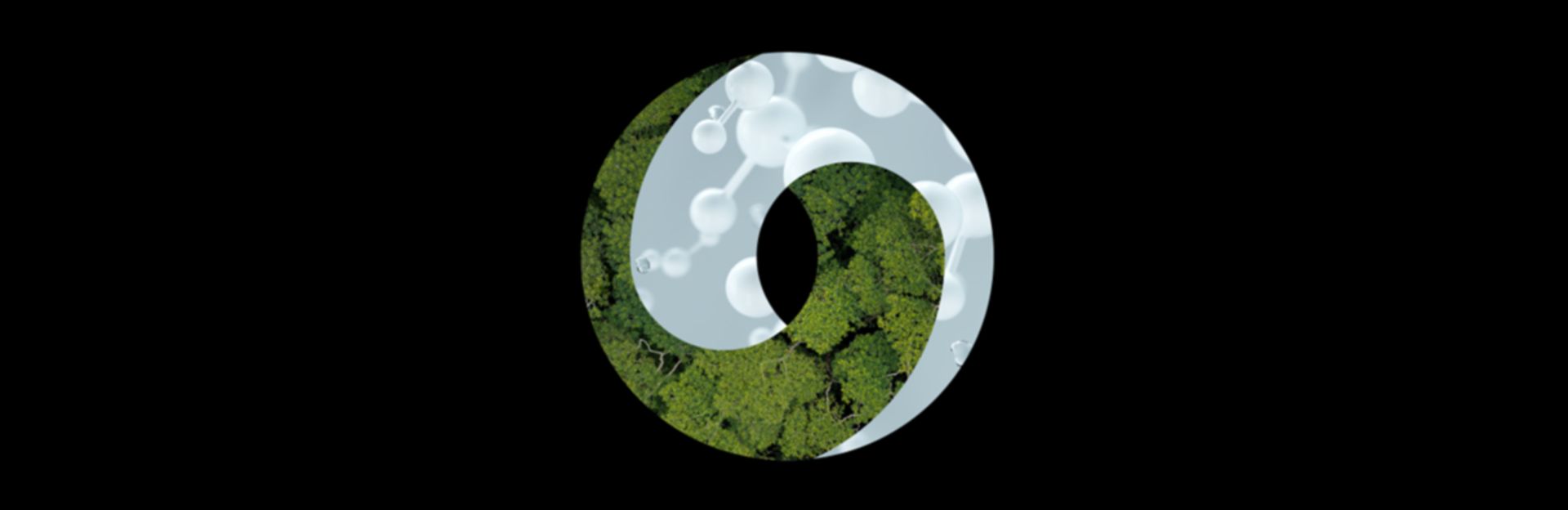 Pathways to decarbonization | Hydrogen | Deloitte Global