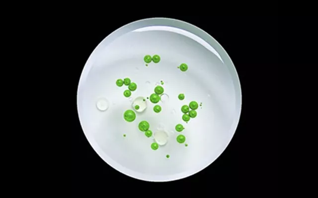 The Future of Human Services | Deloitte Global