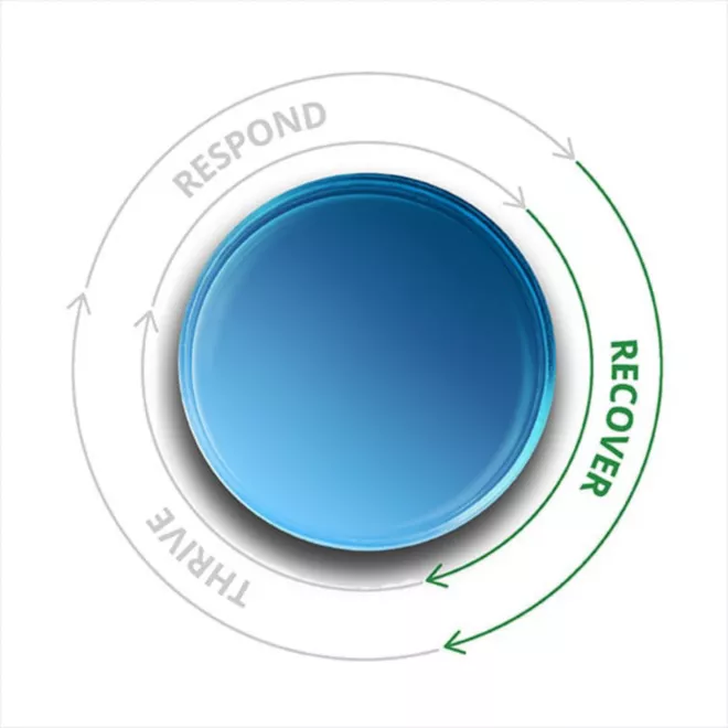 Workforce strategies for post COVID-19 recovery | Deloitte Global