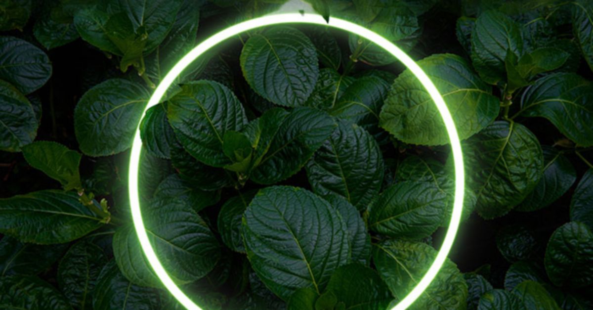 2023 Verdantix Green Quadrant: Climate Change Consulting