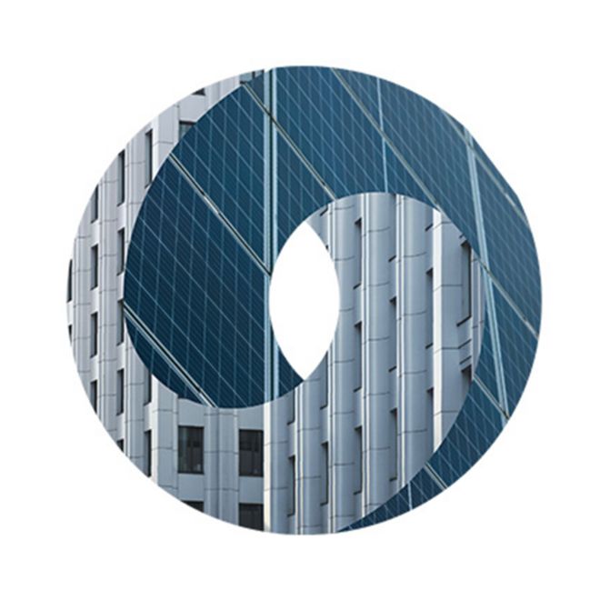 CEOs and Climate Action | Deloitte Global