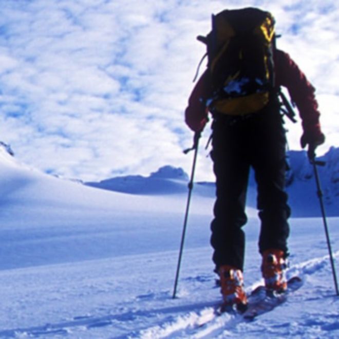 Think like a big Consumer Packaged Goods brand | Deloitte | Technology