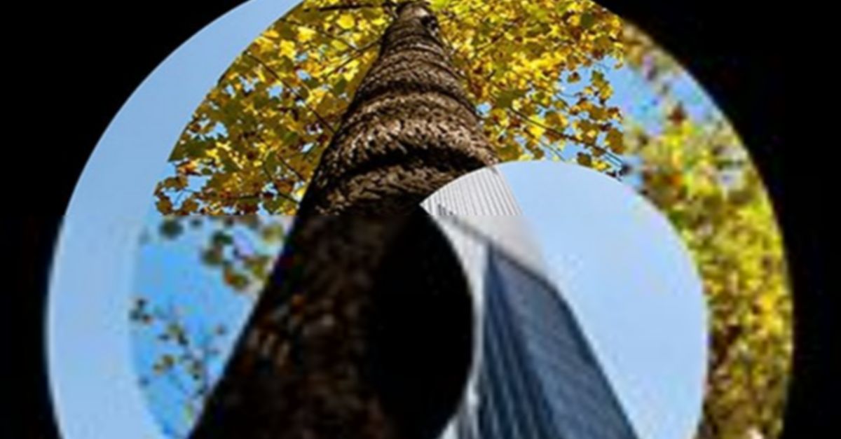 Sustainability and Climate | Deloitte Global