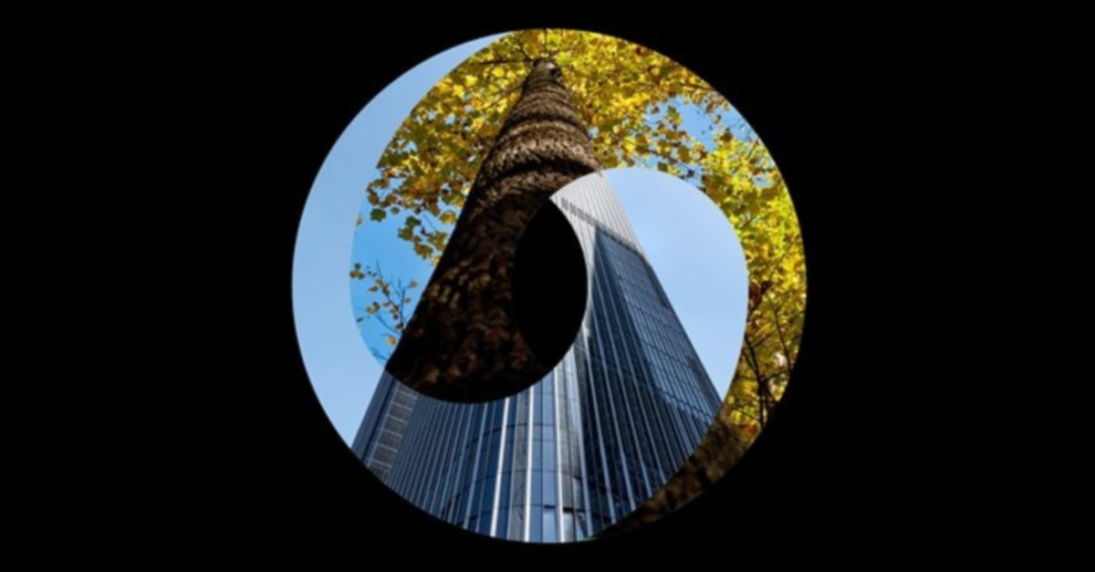 Deloitte Launches Global Sustainability and Climate Business | Deloitte