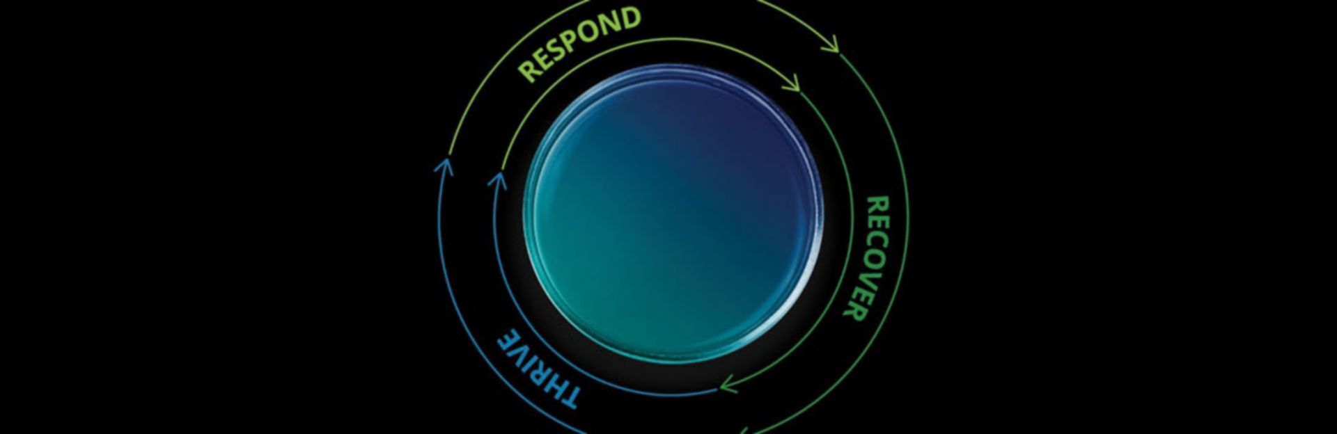 Six important legal M&A considerations during the global pandemic ...