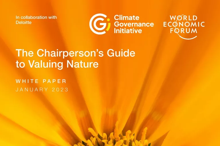 Shaping the board’s strategic direction on climate | Deloitte Global