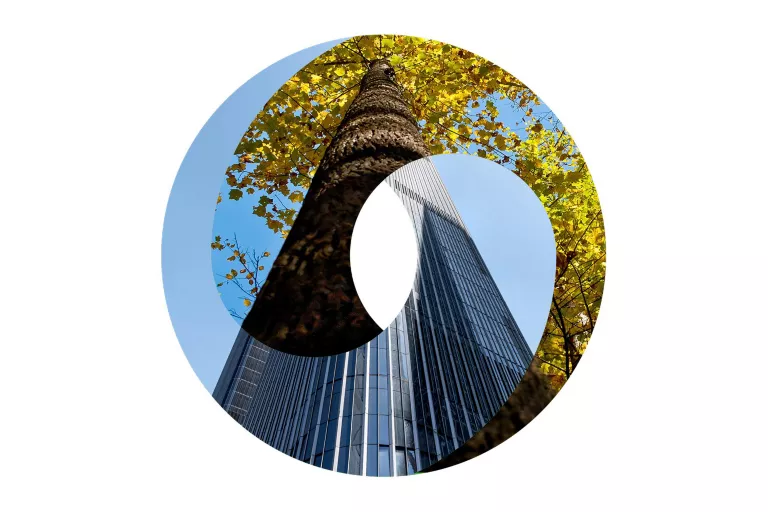 Shaping the board’s strategic direction on climate | Deloitte Global