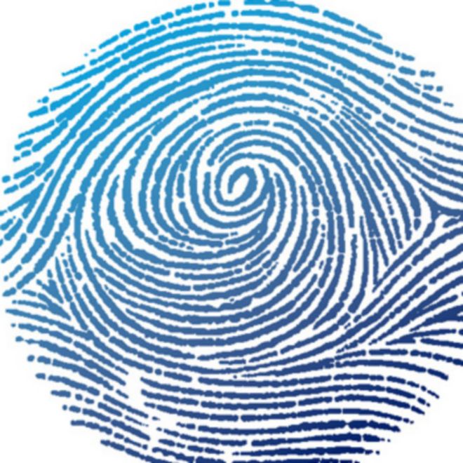 The Future of Digital Identity | Deloitte Global