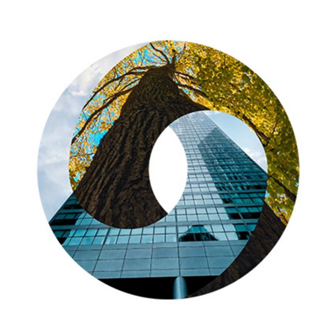 CEOs and Climate Action | Deloitte Global