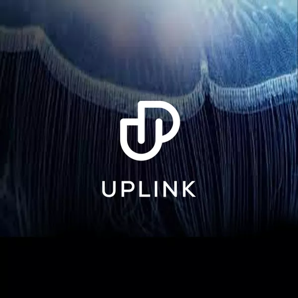 Uplink | Deloitte Global