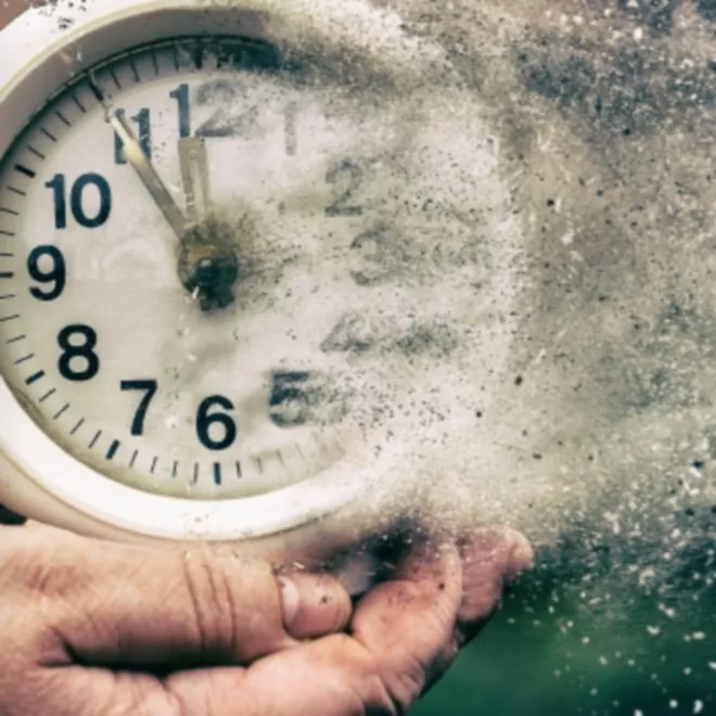 The Click and Collect Consumer | Deloitte Global