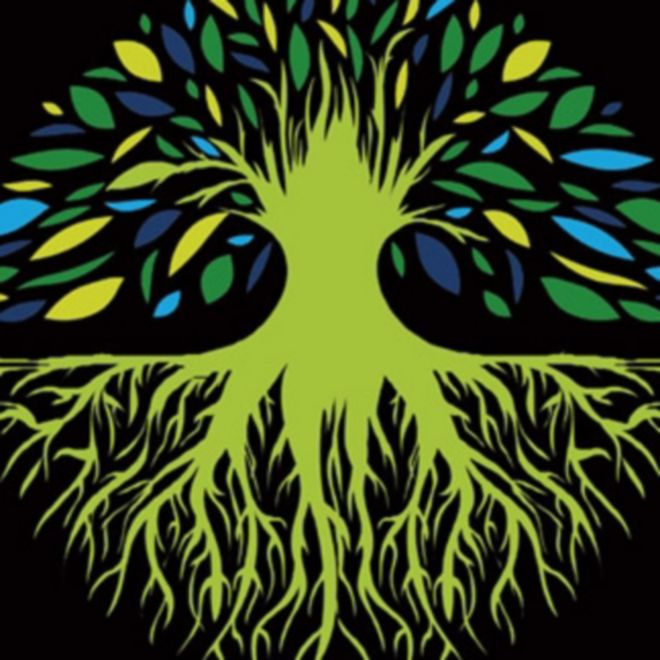 Deloitte Organisation Structure | Deloitte Global