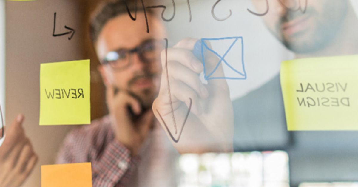 Adaptable Individual