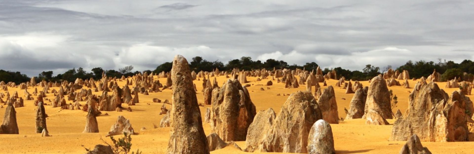 Embedding Indigenous Knowledge in the Conservation and Restoration of ...