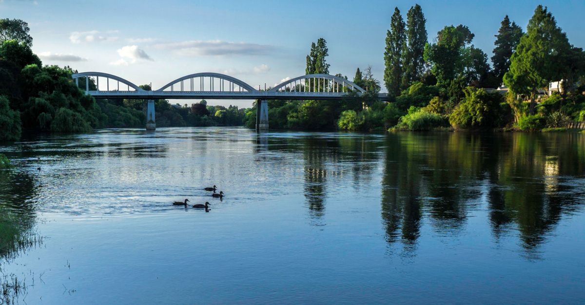 Hamilton | Deloitte New Zealand