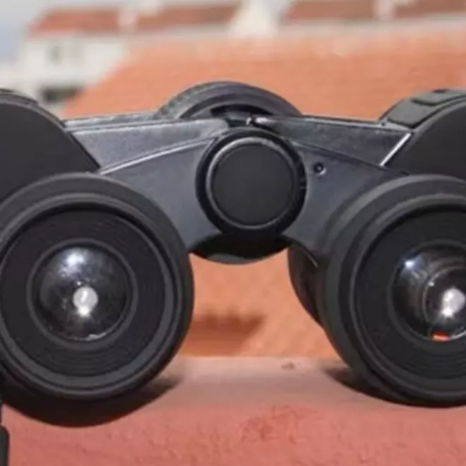 Human Capital Trends archive | Deloitte