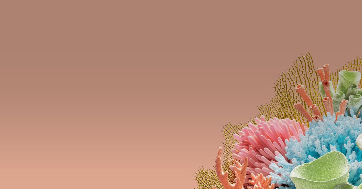 Salesforce Alliance | Deloitte Digital