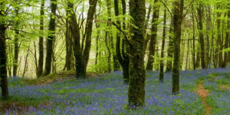 Family & farming partnerships | Deloitte Ireland