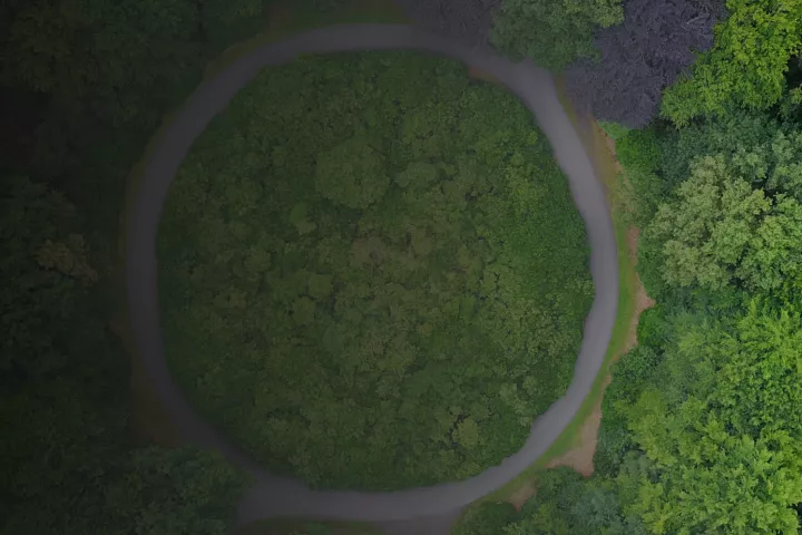 About Deloitte in Georgia | Deloitte Georgia