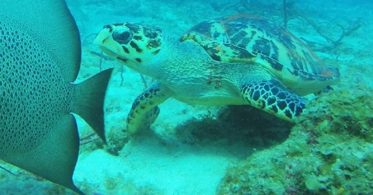 Explore Deloitte Cayman Islands | Deloitte Cayman Islands | Content Filter