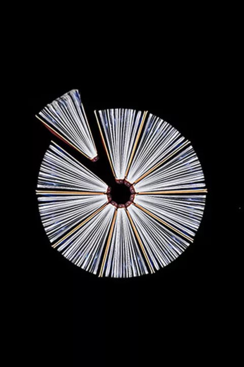 Learning & Development | Deloitte Belgium | Careers