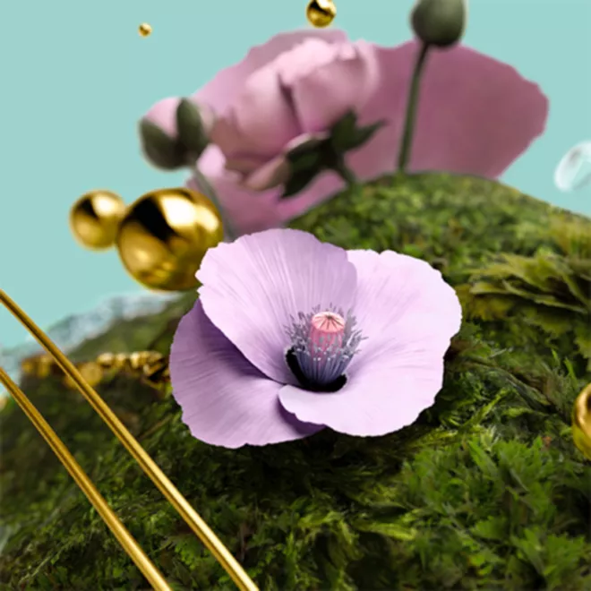 Target Operating Model | Deloitte Luxembourg | Strategy | Services