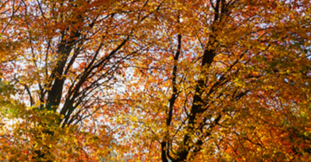 The impetus for refreshing an investment strategy | Deloitte Luxembourg ...