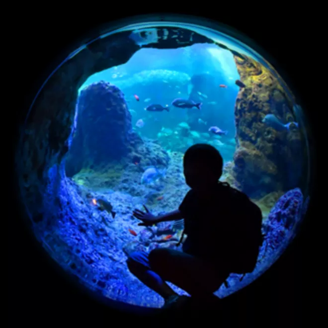 Professionals of the Financial Sector (PSF) | Deloitte Luxembourg