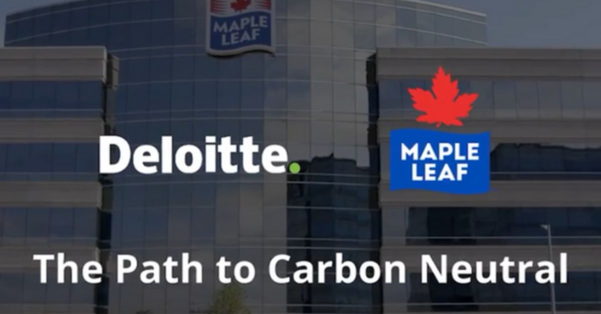 The strategy and science of carbon-cutting