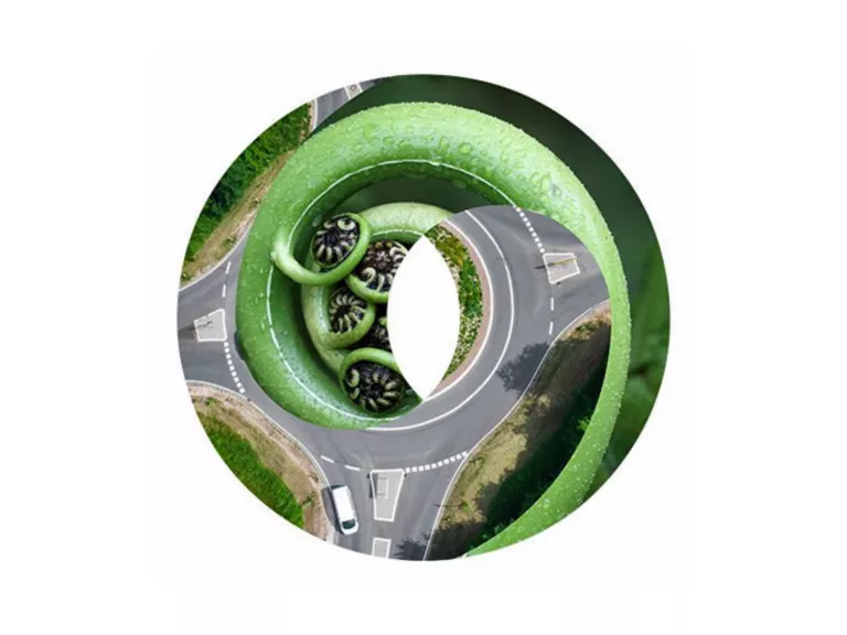 Sustainability & Climate | Risk Advisory | Deloitte New Zealand