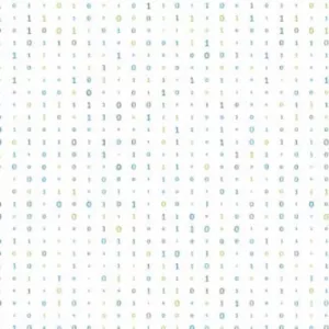 A Namibian Perspective on the Governance of Cyber Security