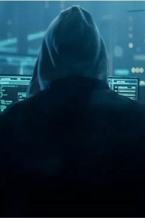 Deloitte | Data Privacy for business