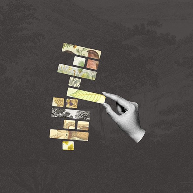 Climate Exchange | Deloitte