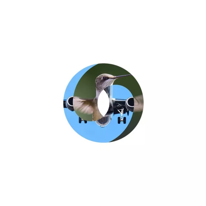 Our Sustainability & Climate team | Sustainability & Climate | Deloitte ...