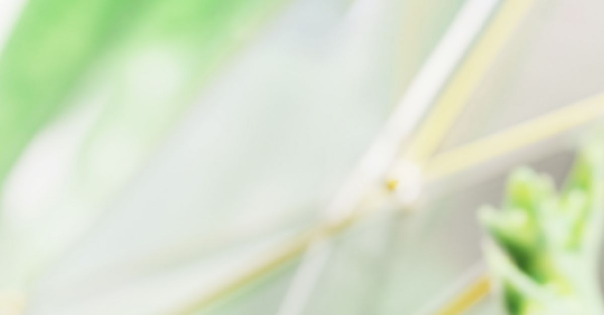 Revenue growth management strategy | Deloitte Digital