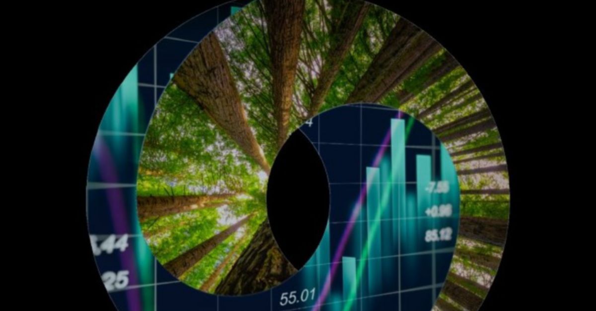 Deloitte Private Equity Index 2023 | Deloitte Global
