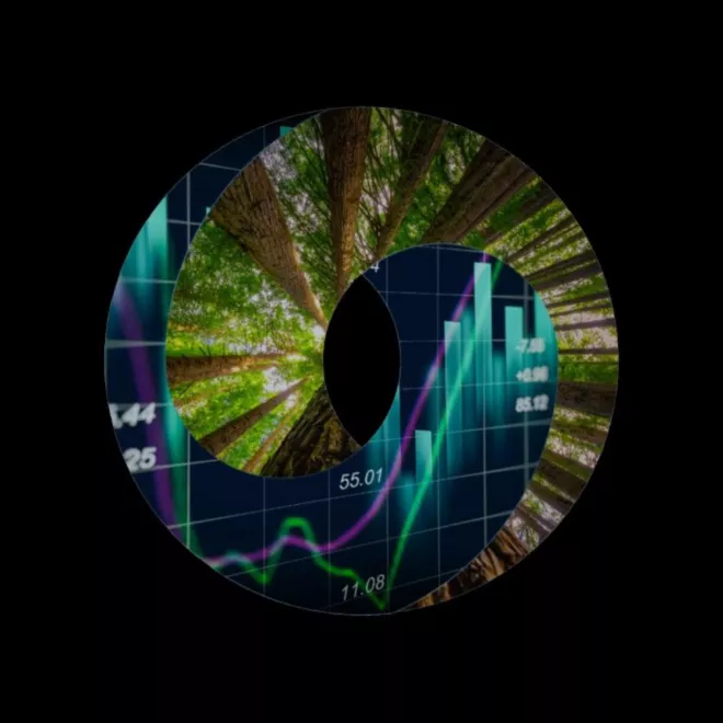 Deloitte’s private equity in sports playbook | Deloitte Global