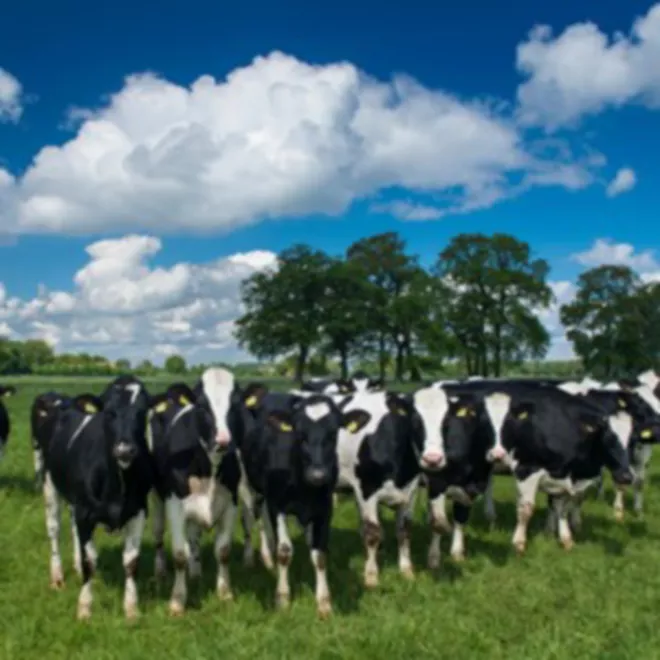 Aanpak woningtekort | Deloitte Nederland