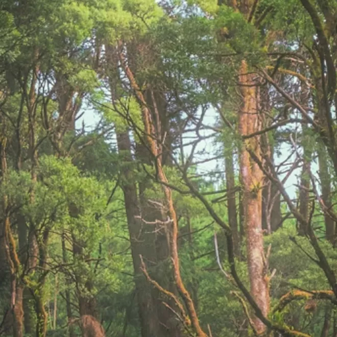 Finance and Banking through the eyes of the Next Generation | Deloitte ...