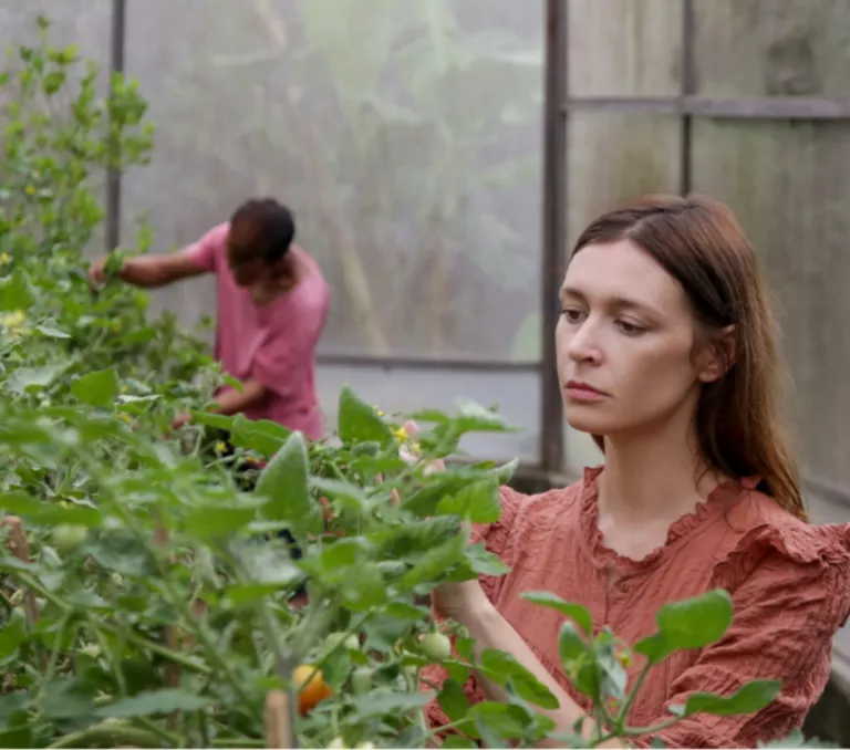 Sustainability and Climate | Deloitte Global