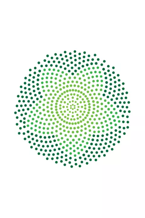 Shared Values around the world | Deloitte | Diversity | Life at Deloitte