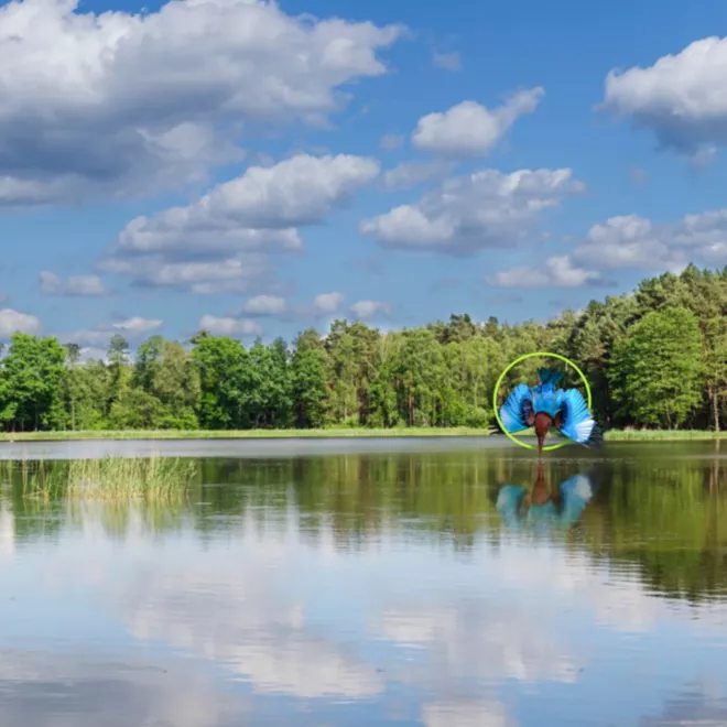 Sustainability & Klimaat - Deloitte Nederland