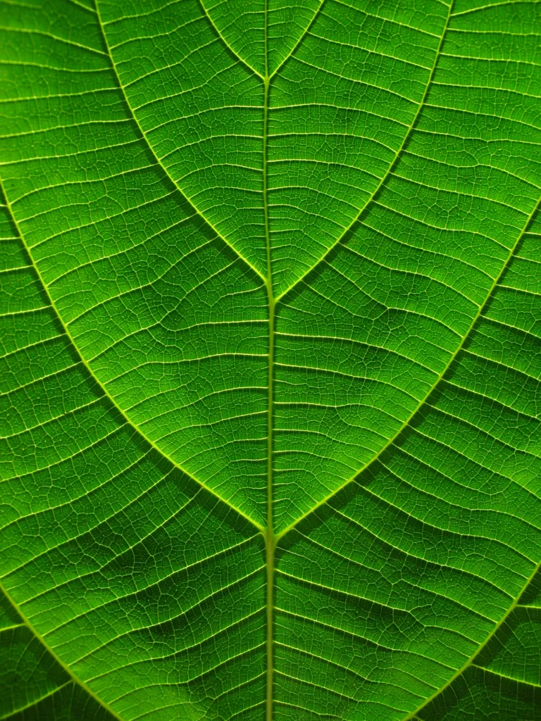 Sustainability & Climate | Deloitte