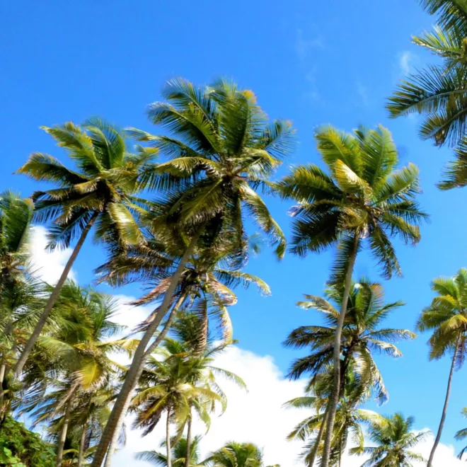 Our Markets at Deloitte CBC